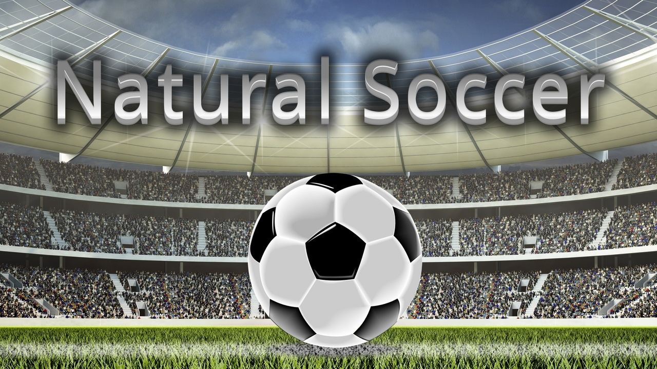 Natural Soccer | PC Steam Game | Fanatical
