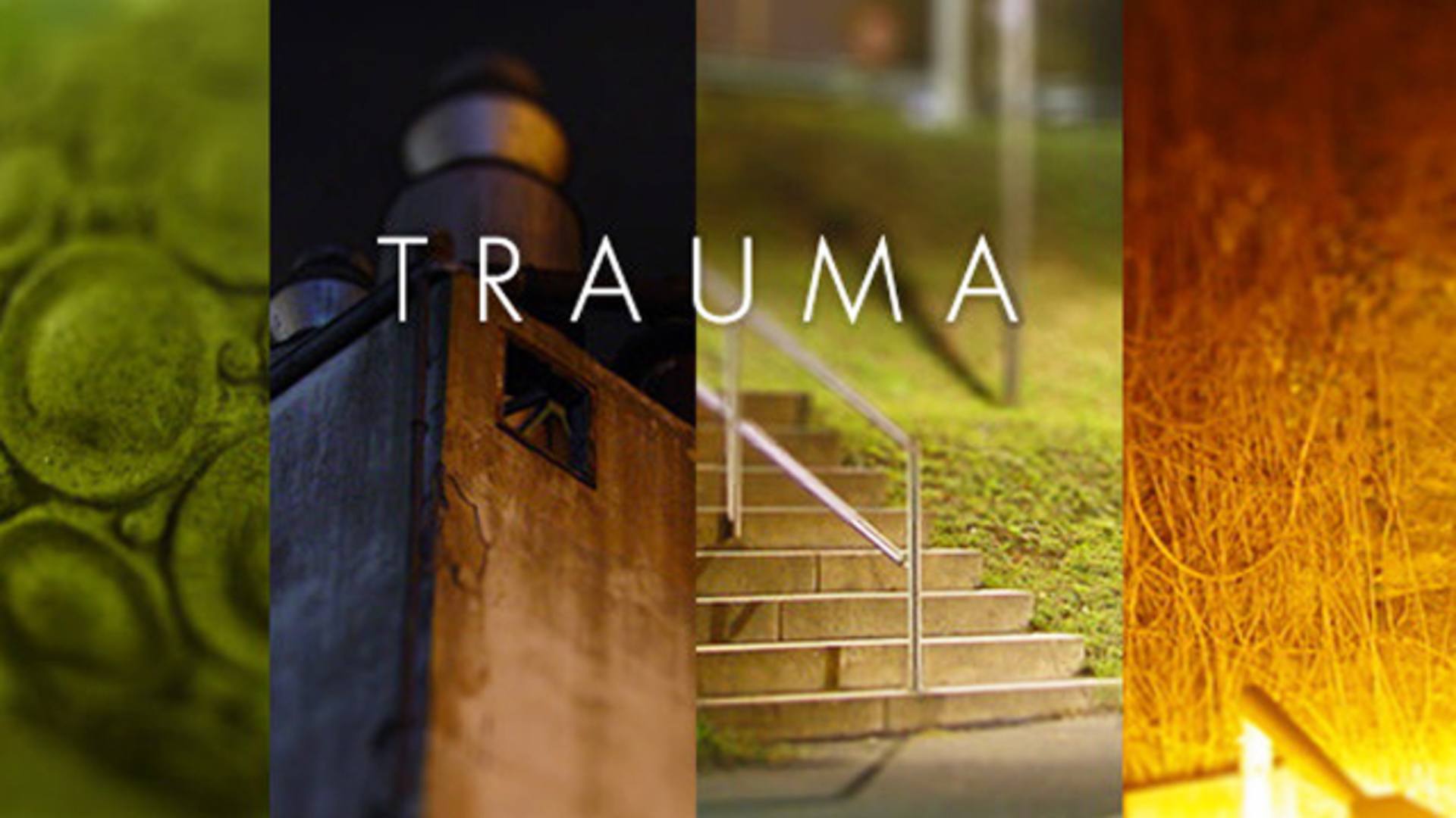 Trauma | PC Mac Steam Game | Fanatical